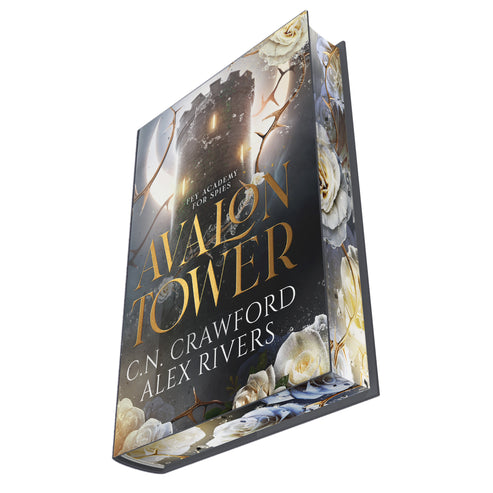 Avalon Tower – C.N. Crawford Bookstore